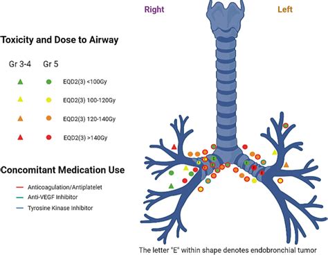 Stereotactic Body Radiotherapy For Ultra Central Lung Tumors A Systematic Review And Meta