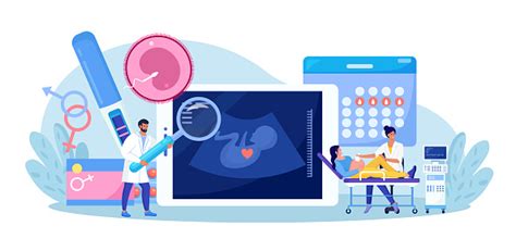 초음파 임신 검사 배아 아기 건강 진단 초음파 검사 산부인과 의사가 배꼽 초음파 검사를 하고 초음파 기계로 임신한 스캔을 합니다 임신에 의한 의료 상담 모니터링 장비에 대한