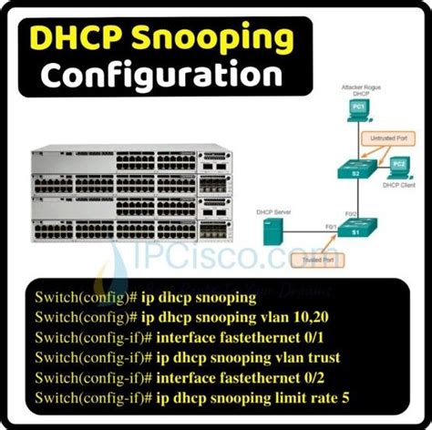 Hamidreza Arabi On Linkedin How To Config Dhcp Snooping