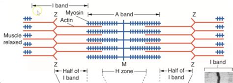 Paper 2 Flashcards Quizlet