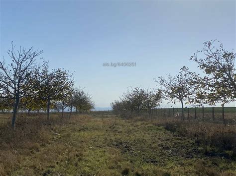 Избул Овощни градини Овощна градина 30860 кв м трета категория