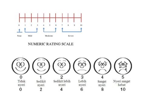 Numeric Rating Scale Pdf