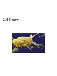 CELL STRUCTURE AND FUNCTION CHART Cell Structure And Function Chart Pdf PDF PRO