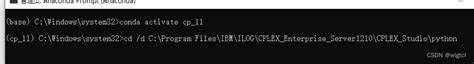 python cplex安装与踩坑记录 cplex12 10安装包 csdn博客
