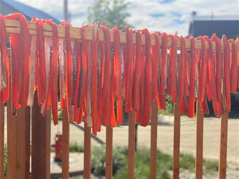 2025 Alaska Federation Of Natives