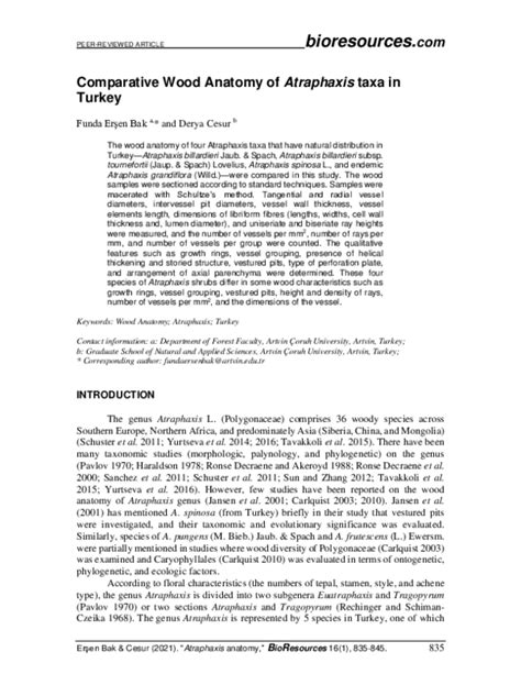 Pdf Comparative Wood Anatomy Of Atraphaxis Taxa In Turkey