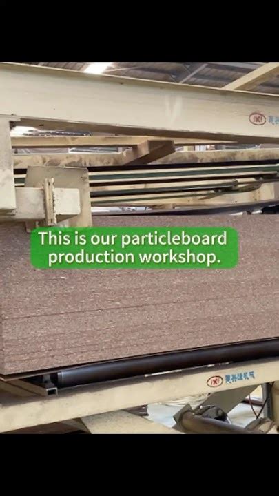 This Is Our Particleboard Production Workshop Youtube