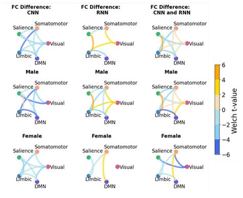 conditional variational autoencoder for functional connectivity
