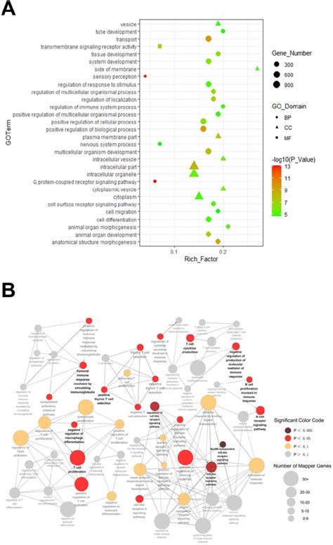 Go Terms Enrichment Analysis A Go Analysis Of Predicted Genes Was