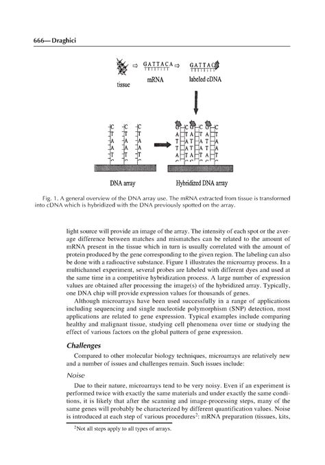 introduction to bioinformatics 227 666— draghici light source will
