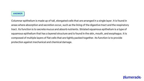 SOLVED: Describe structure, location and function of squamous epithelium, cuboidal epithelium ...