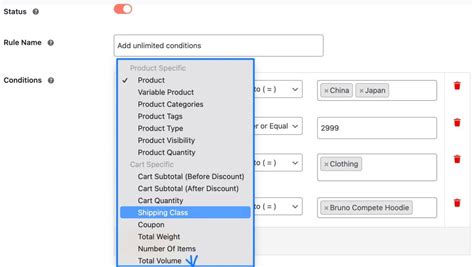 Conditional Payments For Woocommerce Thedotstore
