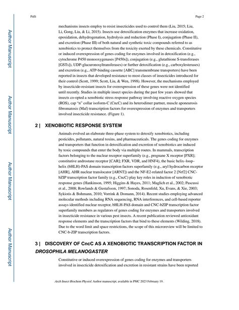 Solution Cncc Maf Mediated Xenobiotic Response Pathway In Insects