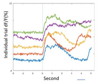 Python Plotting Multiple Lines On Same X Axis With A Normalized X Axis Stack Overflow