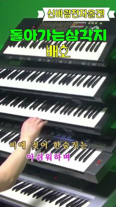 돌아가는삼각지배호 Youtube