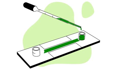 The Best Microscope For Counting Yeast Cells