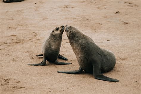 Cuteredheadsnicebuttpics Photos Download The Best Free Cute