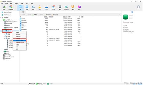 实战演练 Navicat 常用功能之转储与运行 Sql 文件navicat执行sql脚本文件 Csdn博客
