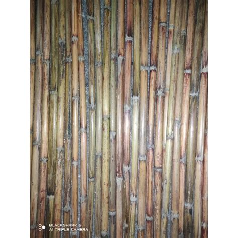 10 Pcs 2ft 3ft 4ft 147cm Bamboo Stick For Plants Support 1cm To Haft