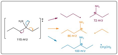Show Three Ways The Given Primary Amine Can Undergo α Cleavage I