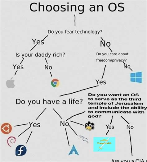 Latest Memes New Memes Memedroid