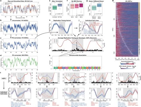 The Human Genomes Replication Timing Program Is Extensively Encoded In