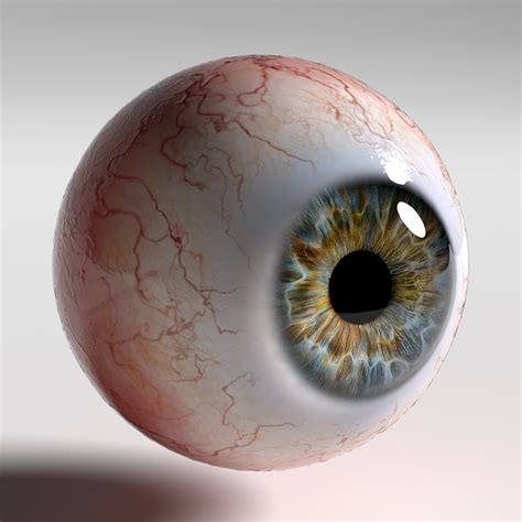 Human Eye Photorealistic On Ogen Tekenen