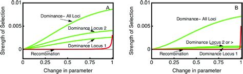 Strength Of Selection On Dominance Modifiers Is Dependent On Modifier