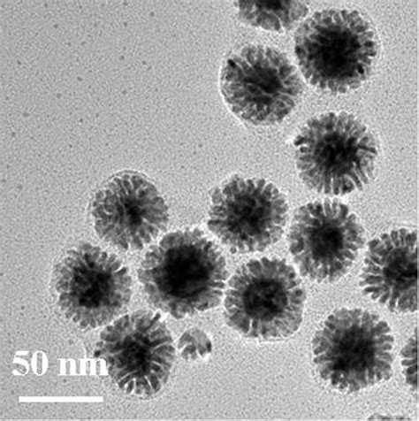 Micro Morphology Control Method Of Gold Palladium Nano Heterostructure Material Eureka