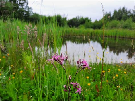 Jonathan Cranfield On Linkedin Restoring Ponds Something That Landowners Should Have Been