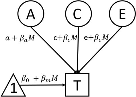 Path Diagram Of The Gxe Model For One Twin Note Only One Twin Is Shown Download Scientific
