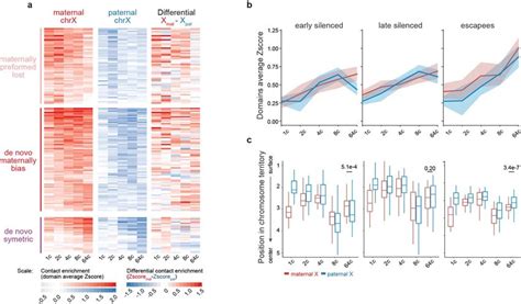 Analysis Of X Linked Gene Position Within The X Chromosome As Download Scientific Diagram