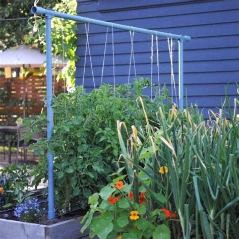 How To Make The Best DIY Tomato Trellis Stake Weave Hybrid Homestead And Chill