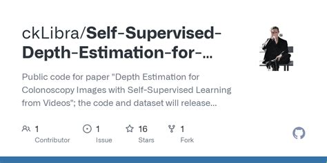GitHub CkLibra Self Supervised Depth Estimation For Colonoscopy Public Code For Paper Depth