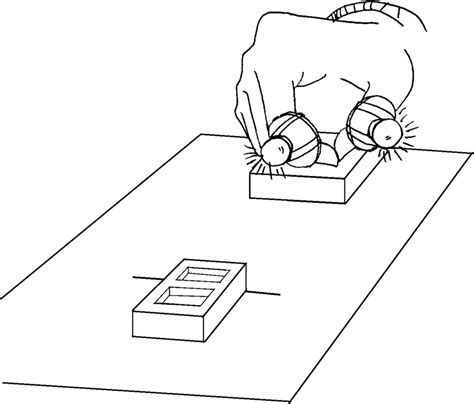 Illustration Of The Set Up Of Experiment The Left Panel Is The Download Scientific Diagram