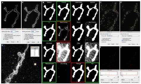 Examples Of Macro Setting Adjustments And Their Consequences For Image Download Scientific