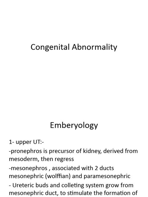 Congenital Abnormality Pdf Genitourinary System Urology