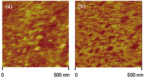 Contact Mode Sfm Of Oxidized Pdms In Water Using A Hydroxyl Terminated Download Scientific