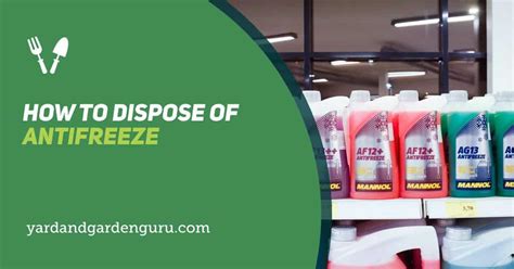 How To Dispose Of Antifreeze