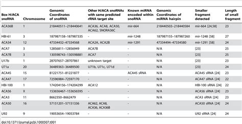 Small Fragments Generated From Snornas Download Table
