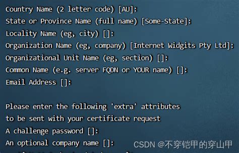 nginx 颁发自签证书 nginx自签证书 csdn博客