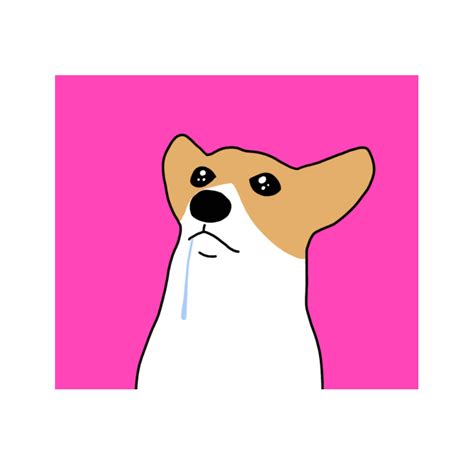 배고픈 웰시코기