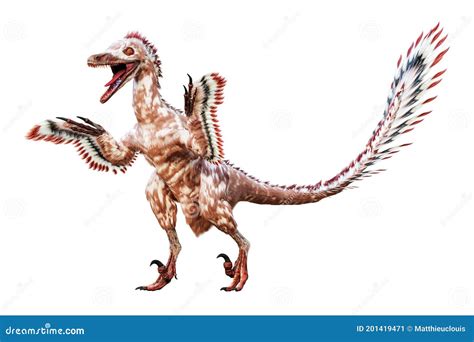 Velociraptor Feathers