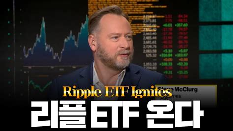 리플 Etf 움직임 포착 Youtube