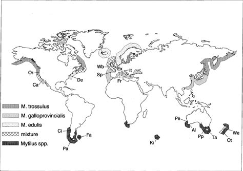 Mytilus Spp Antitropical Global Distribution Of Blue Mussels Download Scientific Diagram