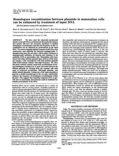 Homologous Recombination Between Plasmids In Mammalian Cells Can Be