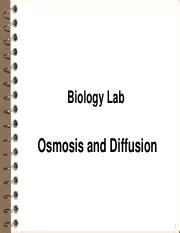 Osmosis And Diffusion Pdf Biology Lab Osmosis And Diffusion Instructions For Lab Before