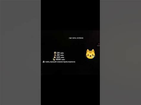 спаси котенка - YouTube