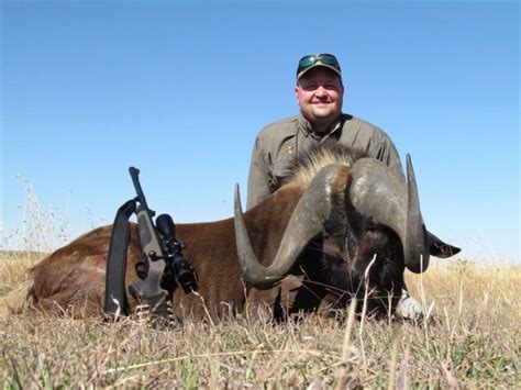 Wildebeest Black Rifle Hunting Dries Visser Safaris