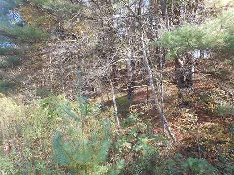 Maplecrest Way Otego Ny 13825 Off Market Nystatemls Listing 10433657